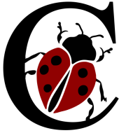 Ladybug Collective – digital zine, literary journal